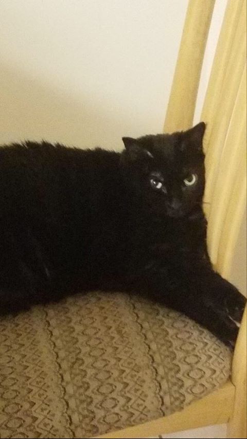 I think mine is broken | Scrolller