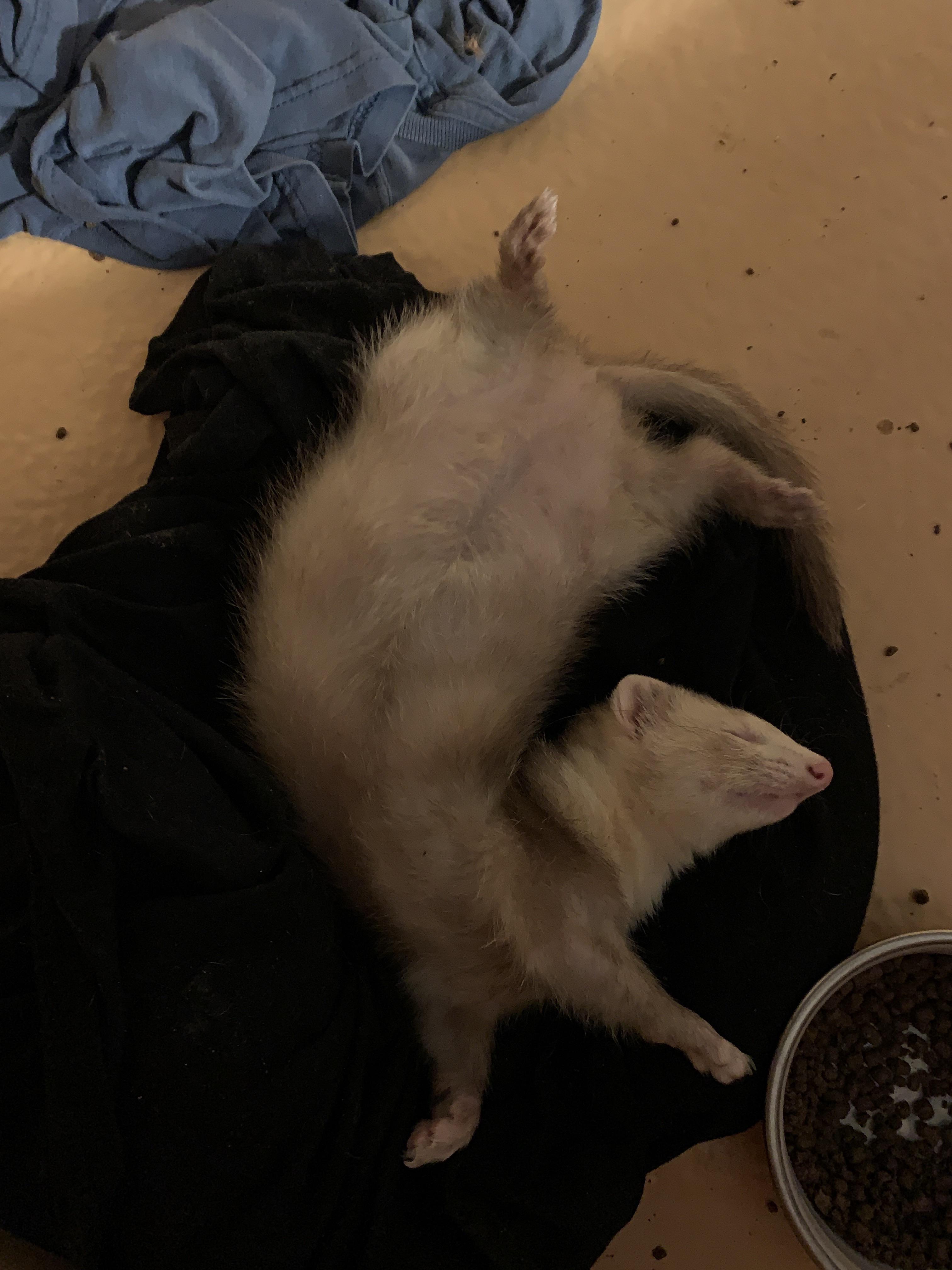 I think she’s broken…. | Scrolller