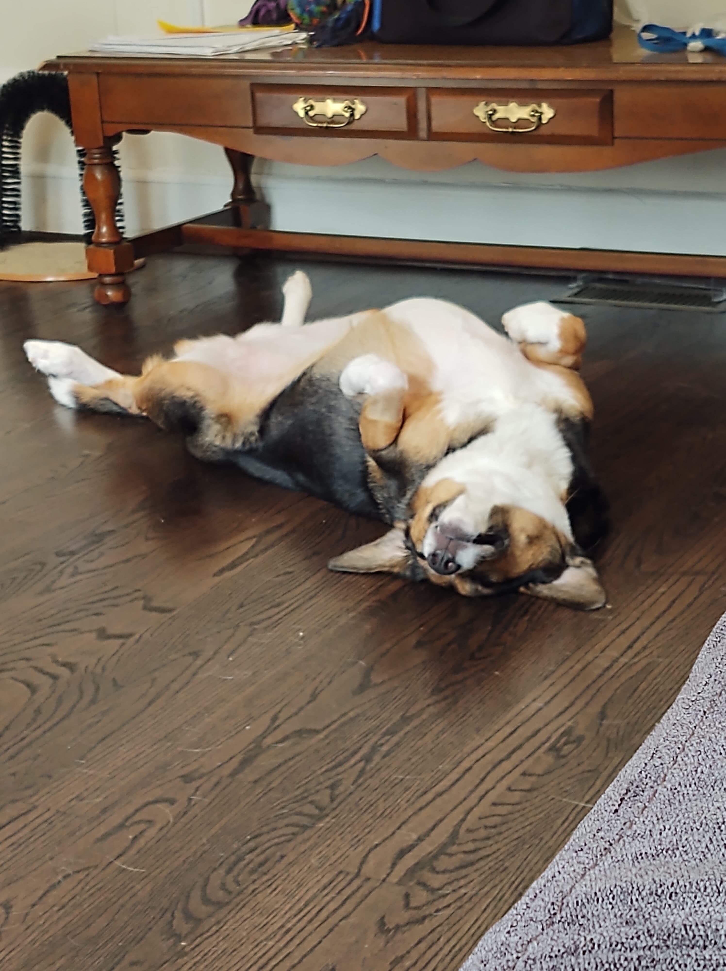 I think she’s broken | Scrolller