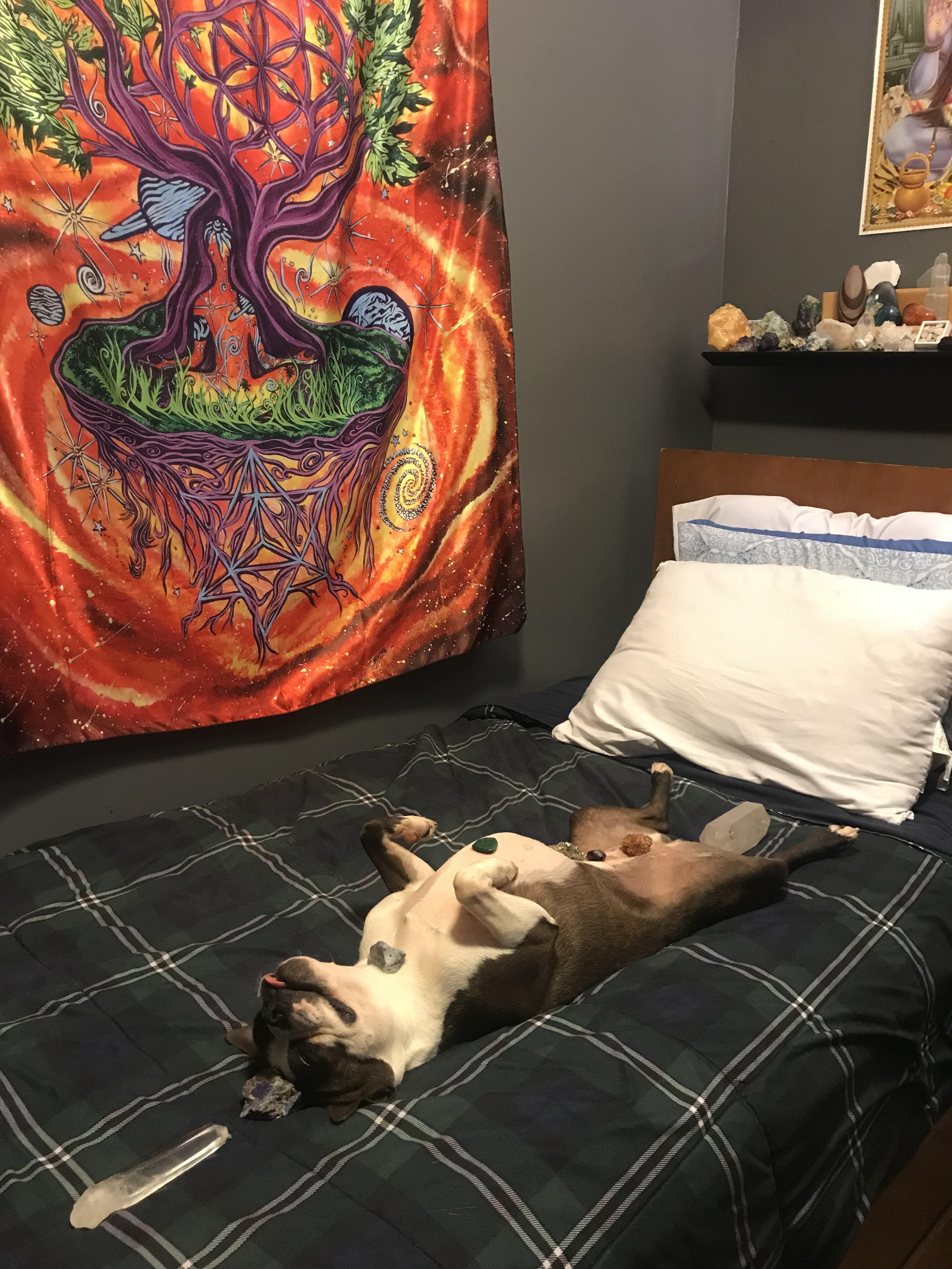 I think she’s loving them! | Scrolller