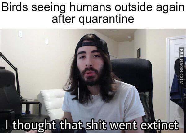 i thought that shit went extinct | Scrolller