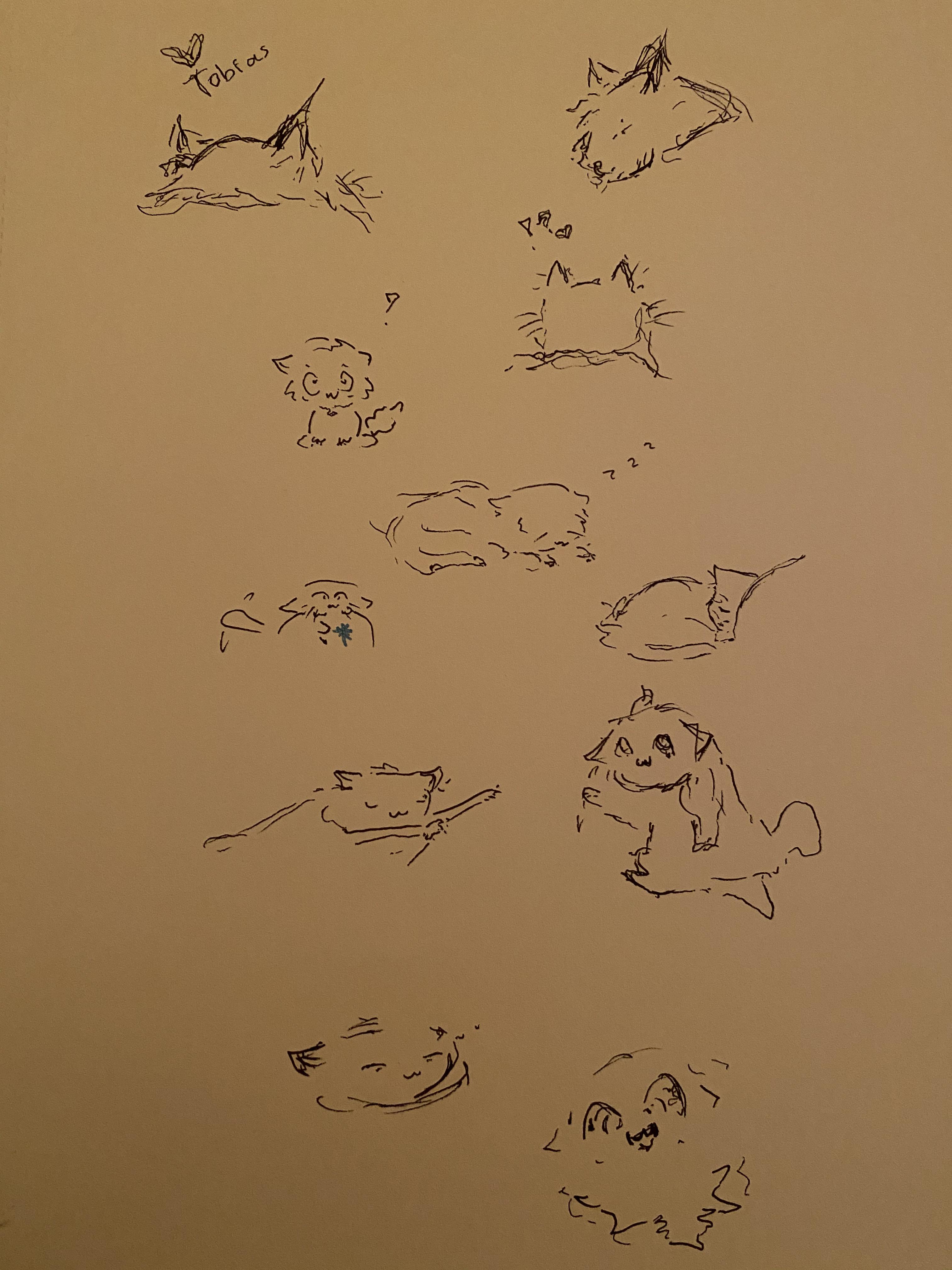 I tried drawing my cat while tripping | Scrolller