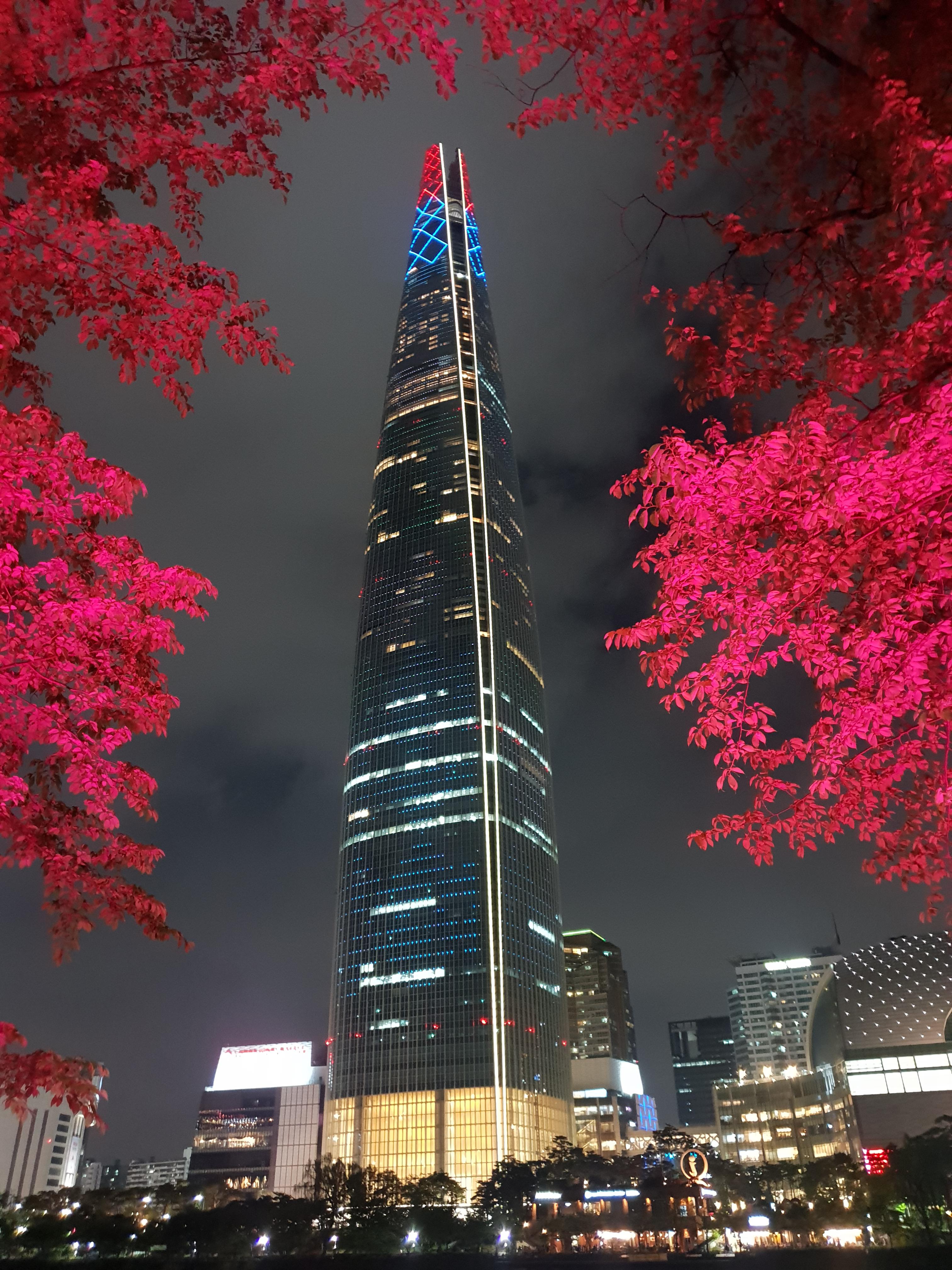 I went for a walk around Seokcheon Lake tonight, I thought Lotte Tower looked cool through the ...