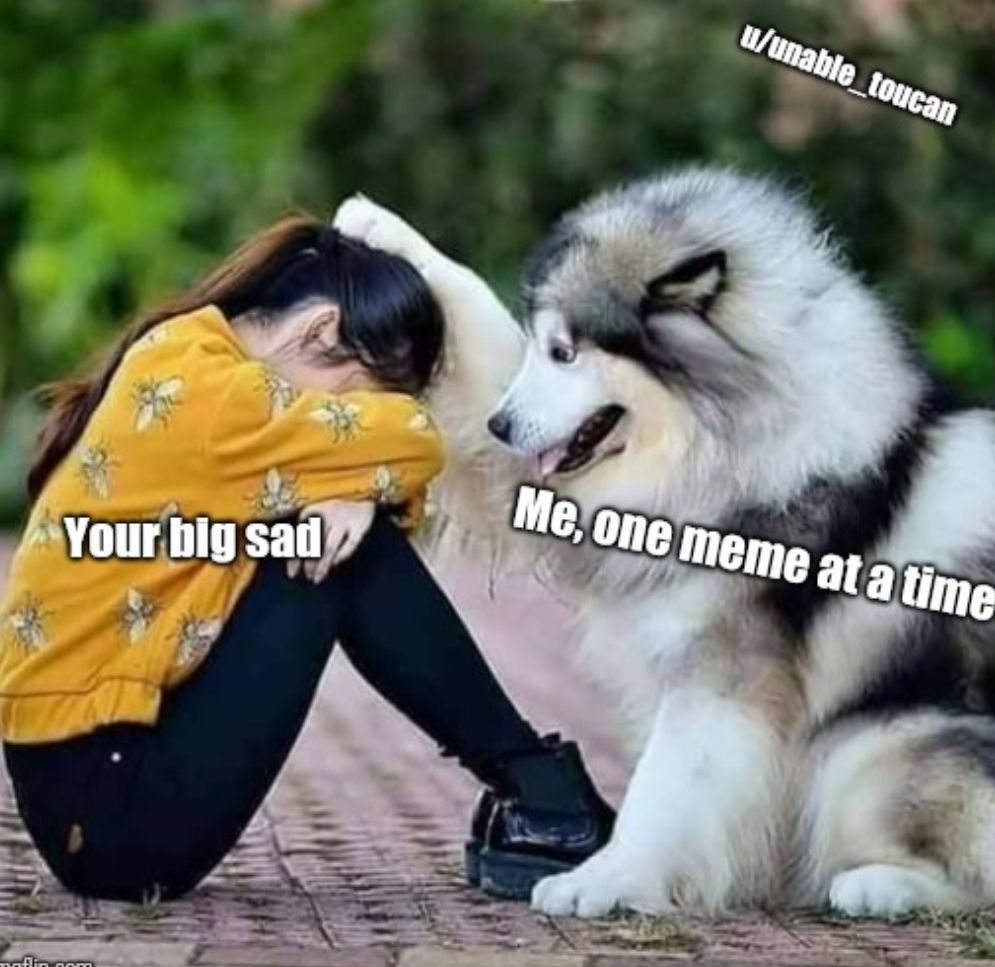 I will cute your big sad | Scrolller