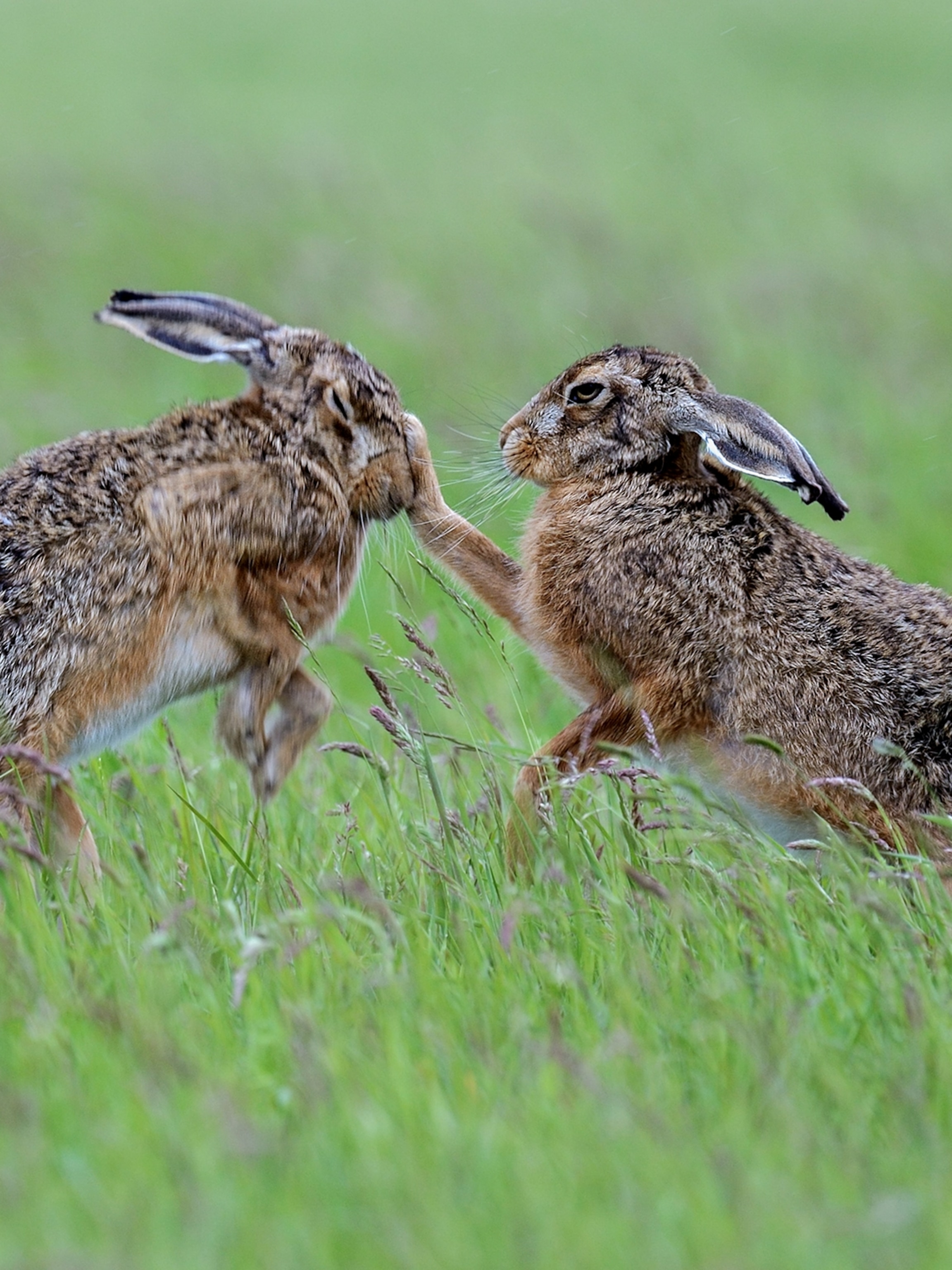 I will heal you sinner! | Scrolller