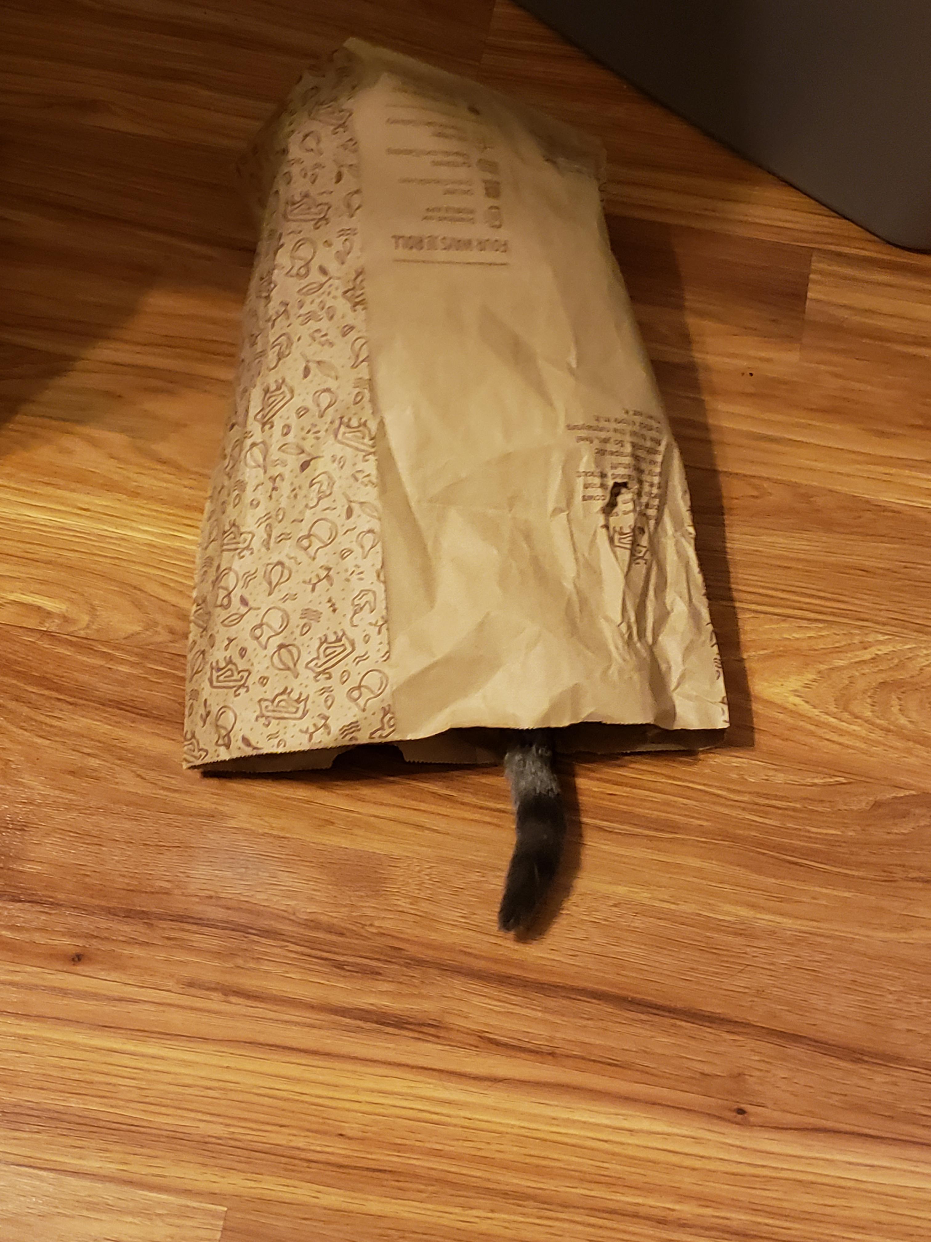 I Wonder Where Pixie Is Scrolller