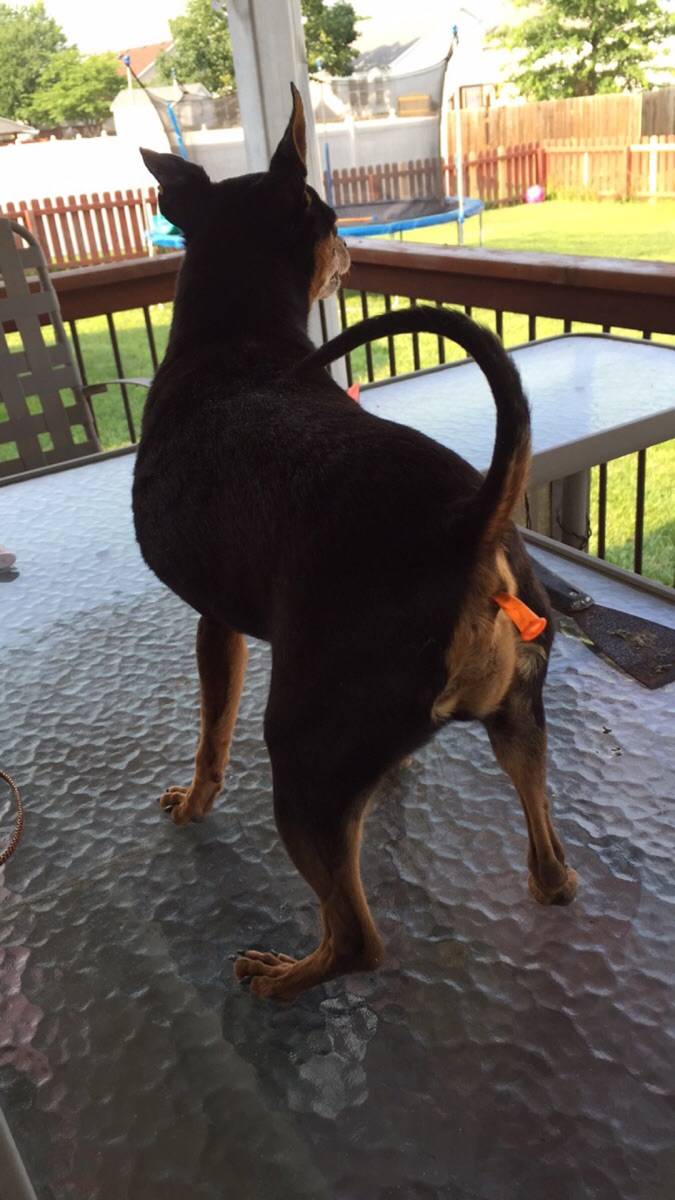 I would risk a quick snap. | Scrolller