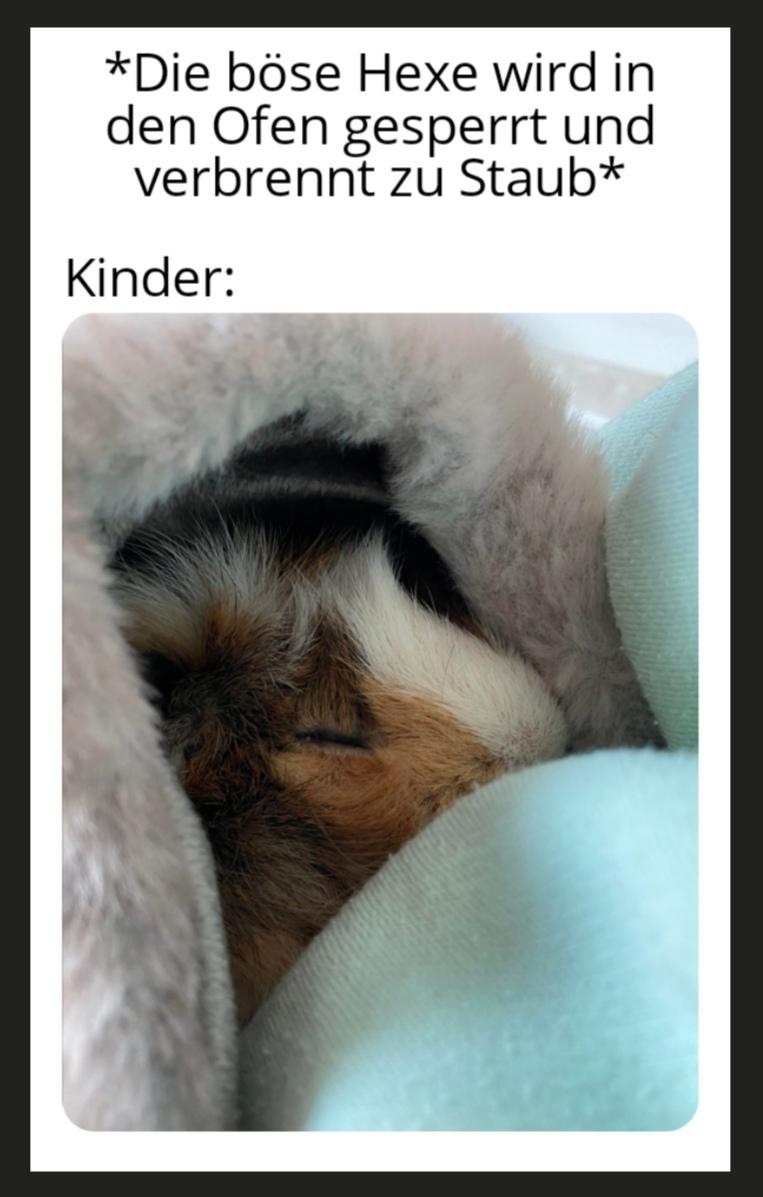 Ich_iel | Scrolller