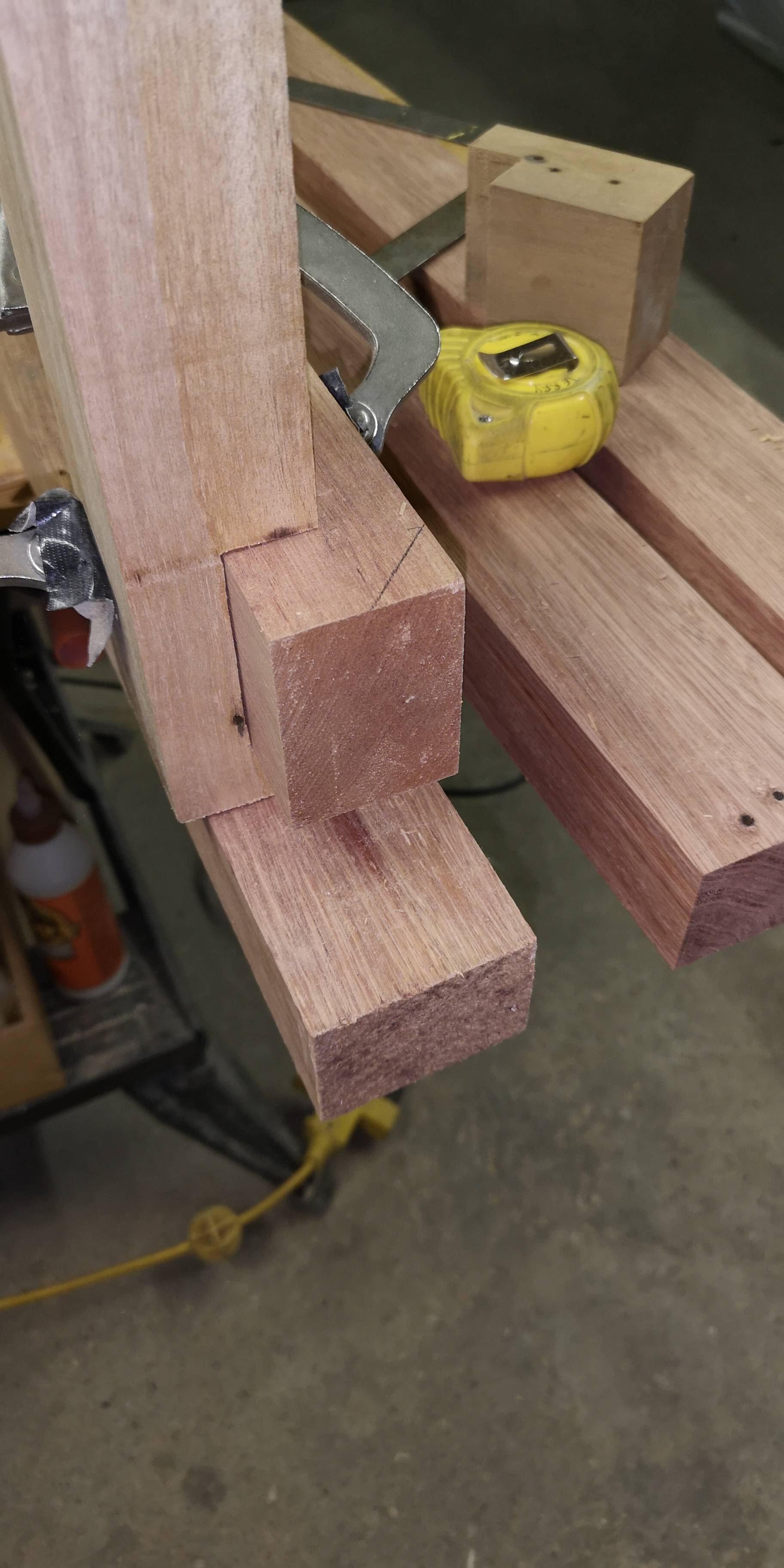 Identification please, I'm thinking Red Oak | Scrolller