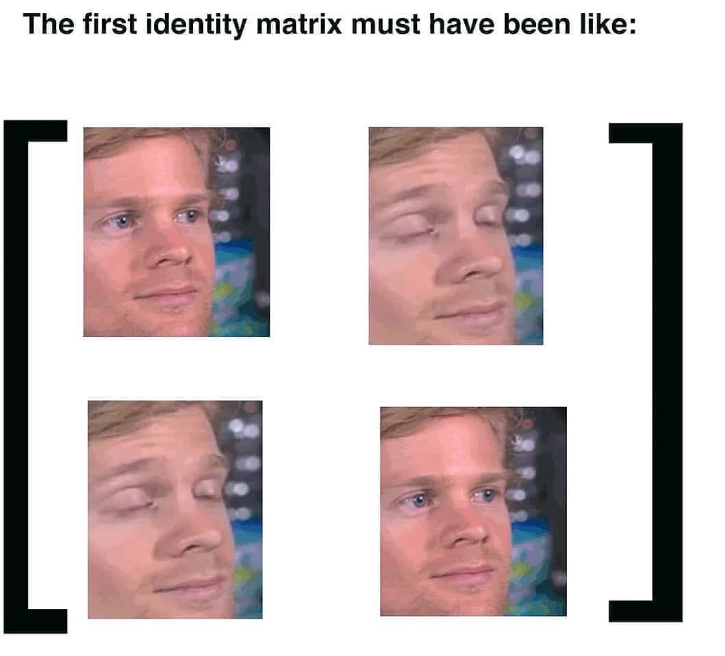 Identity crisis | Scrolller