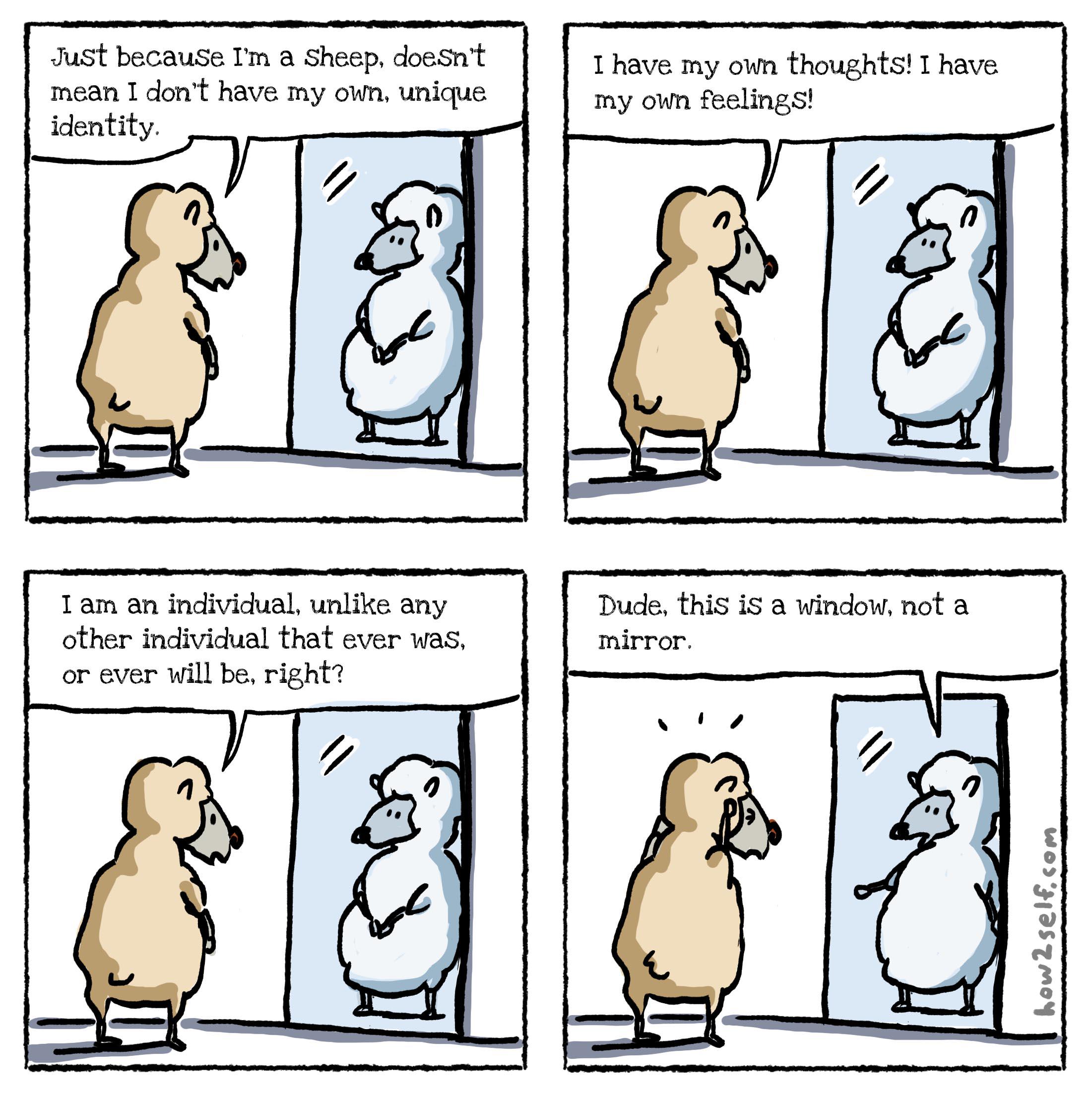 Identity Crisis | Scrolller