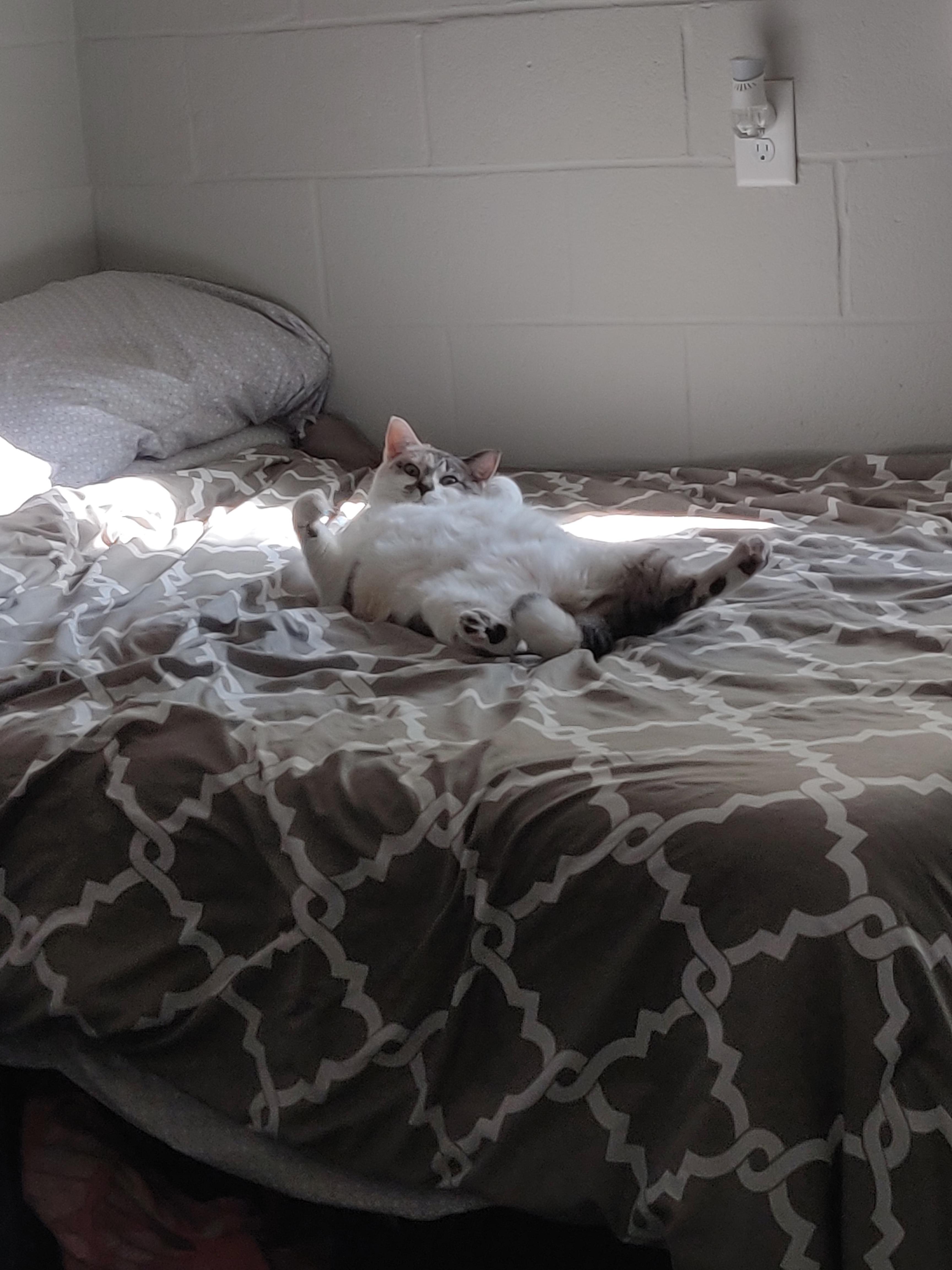 Idk how shes holding her neck up | Scrolller