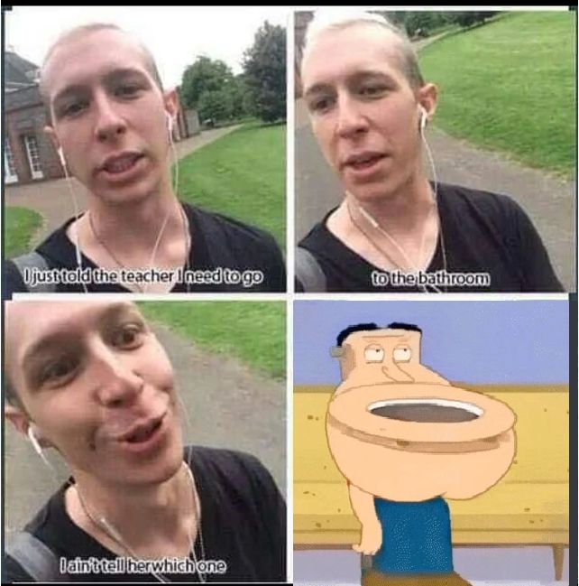 If you flush he says giggity 😎 | Scrolller