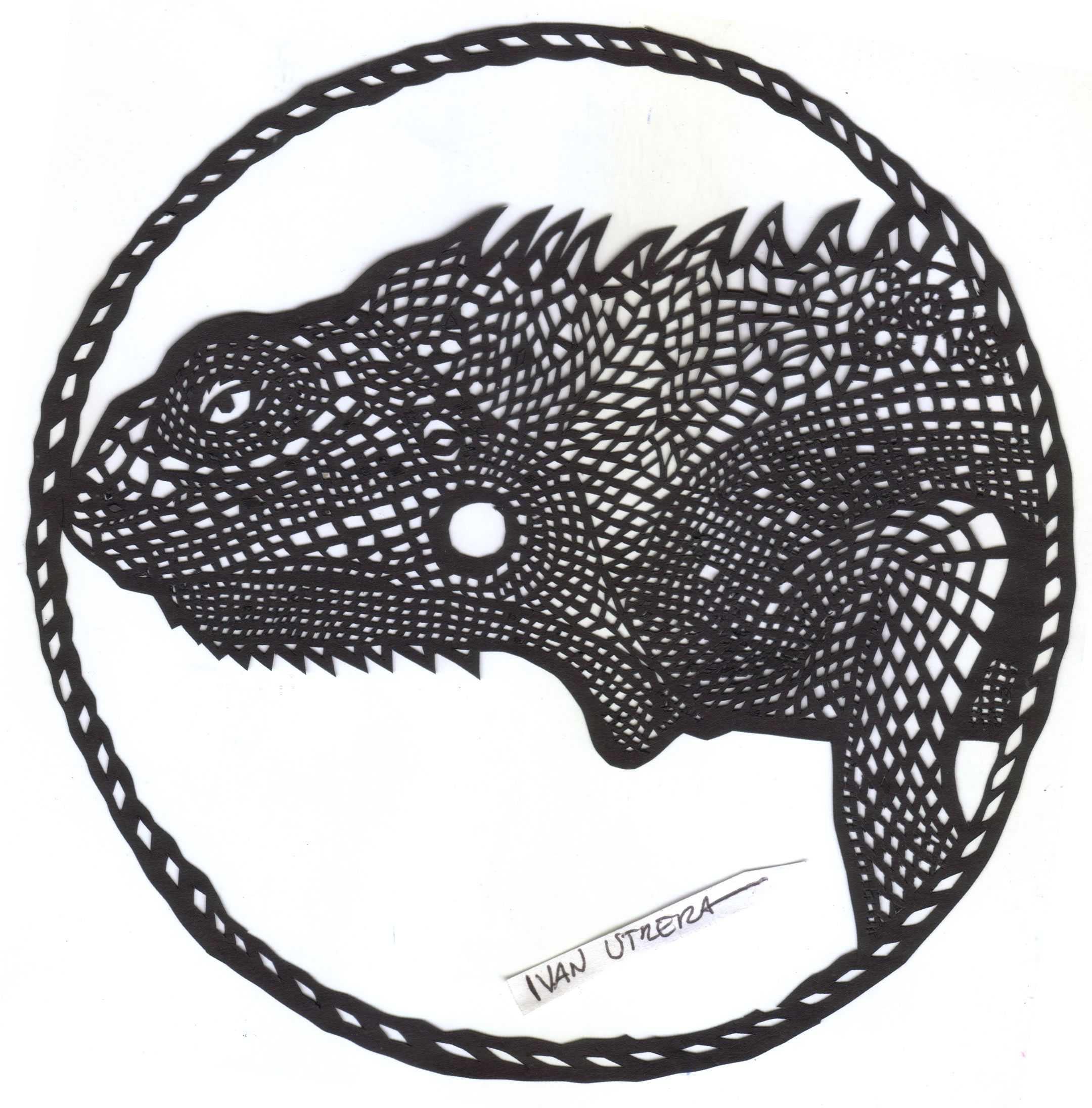 iguana paper cut | Scrolller