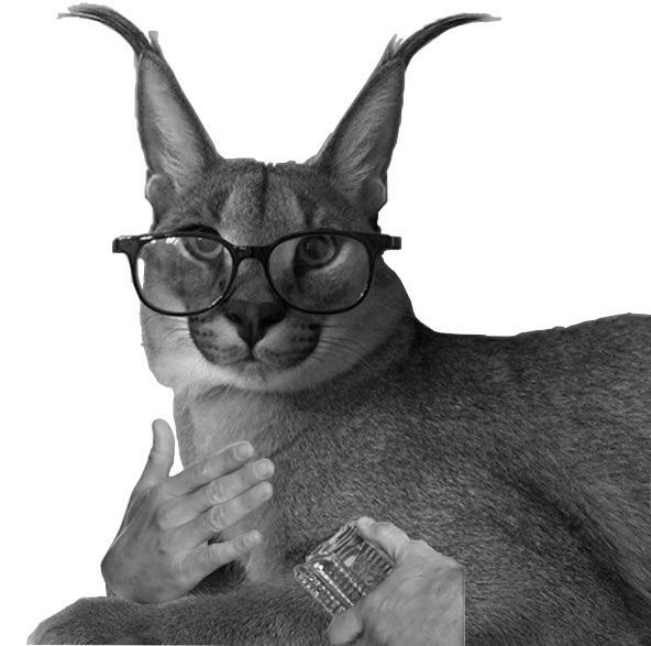 Im Big Floppa Scrolller