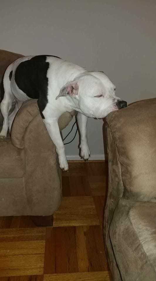 I'm so tired | Scrolller