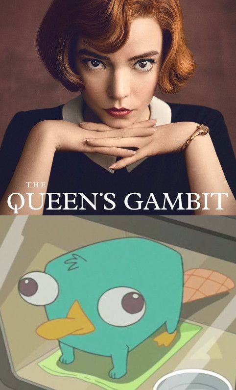 I'm sorry | Scrolller