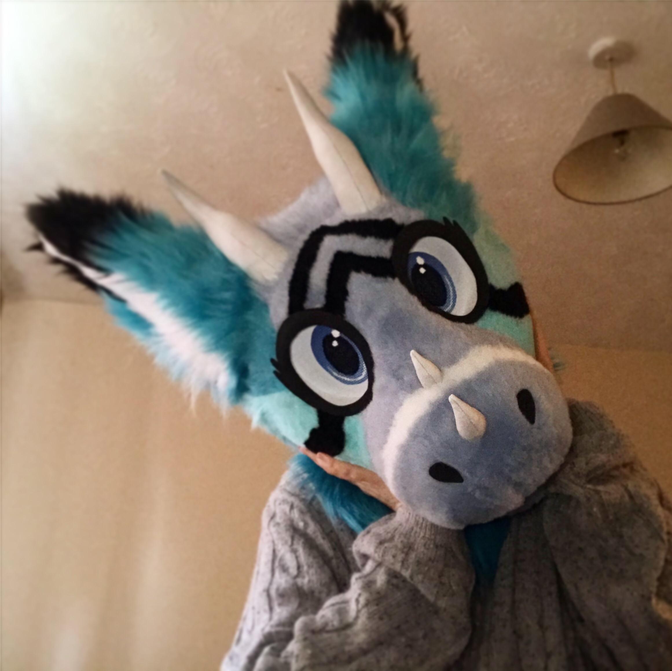 Im the proud owner of a fursuit finally!! | Scrolller