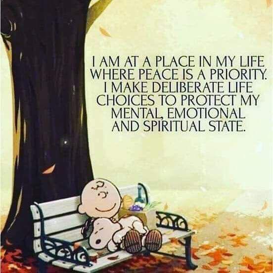 The rest is confetti. | Scrolller