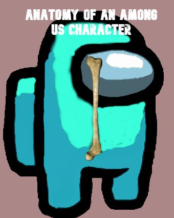 Imagine breaking that bone | Scrolller