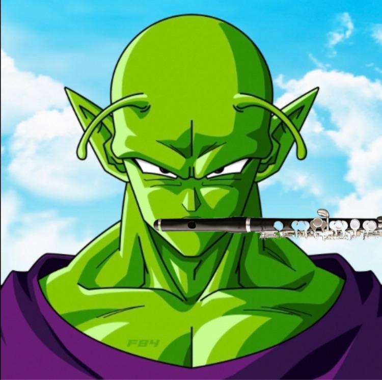 Imagine playing a Piccolo | Scrolller