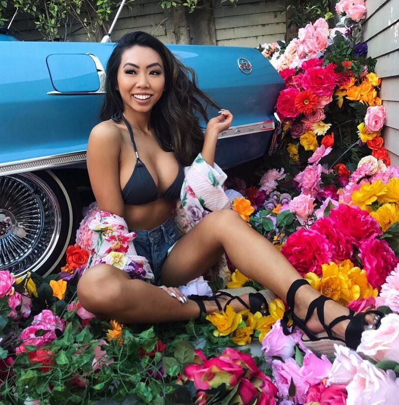 Impala and flowers | Scrolller