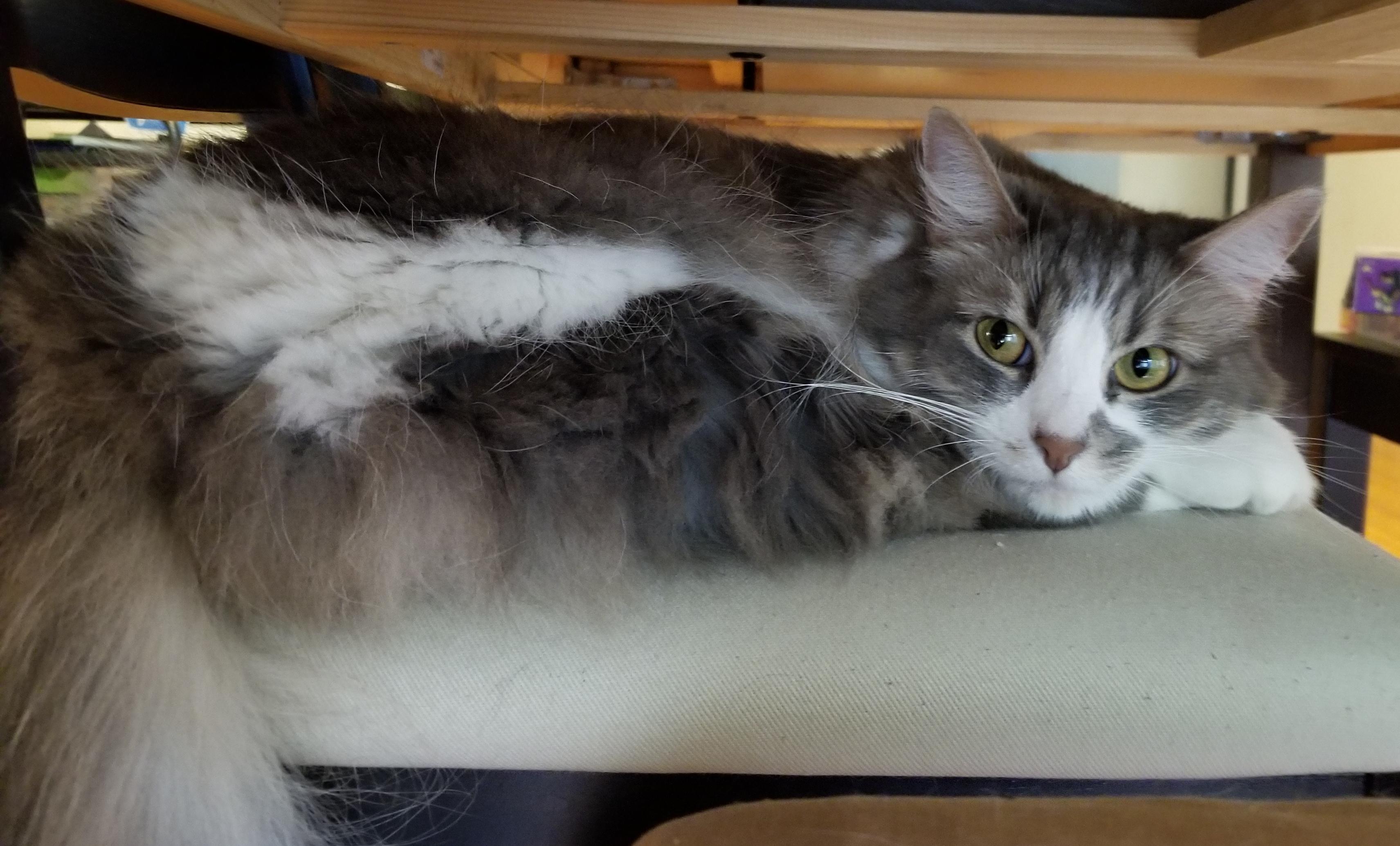 In her hideout | Scrolller