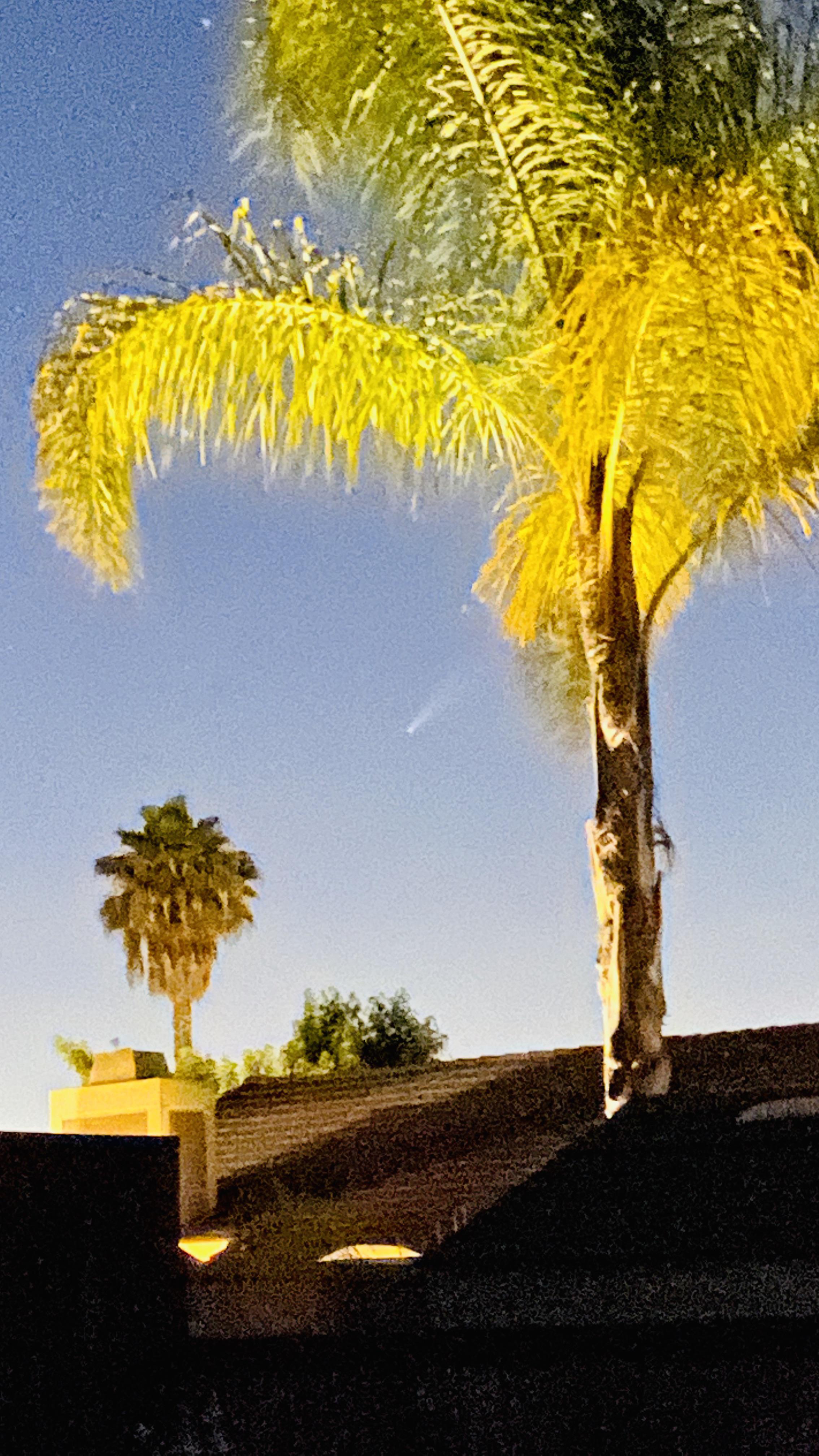 In My Backyard | Scrolller