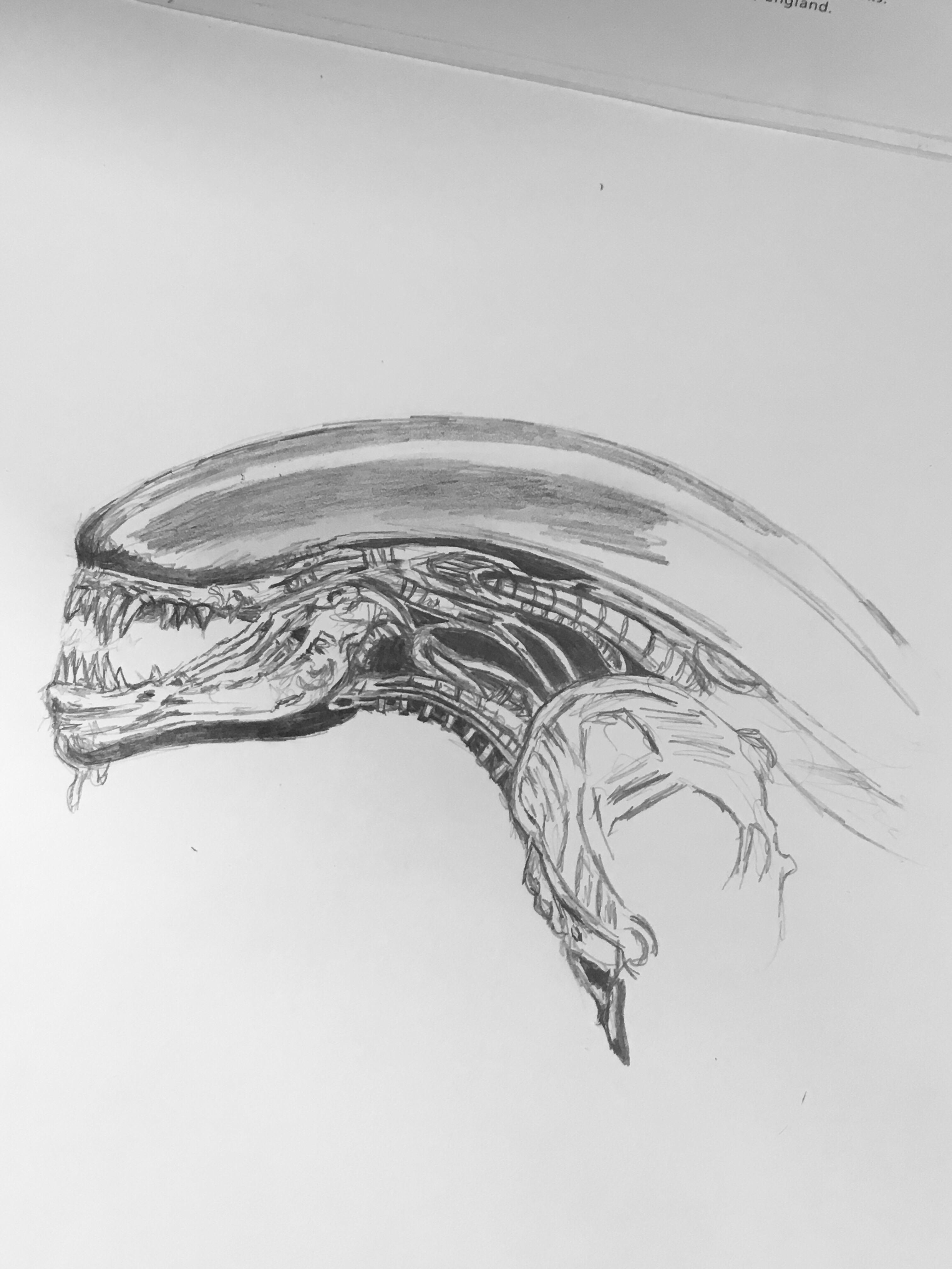 In progress | Scrolller