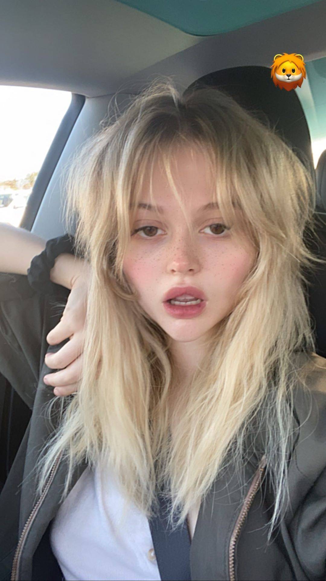 In the car | Scrolller