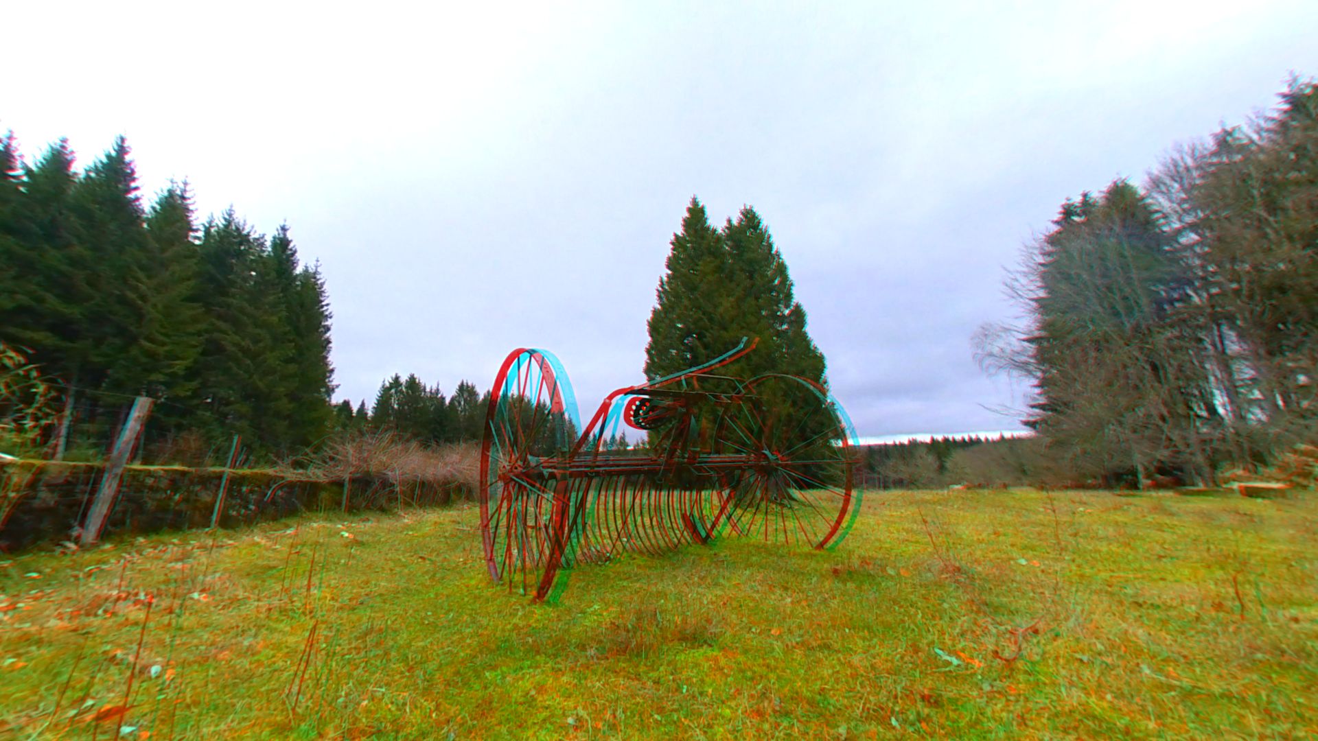 in the country-side | Scrolller