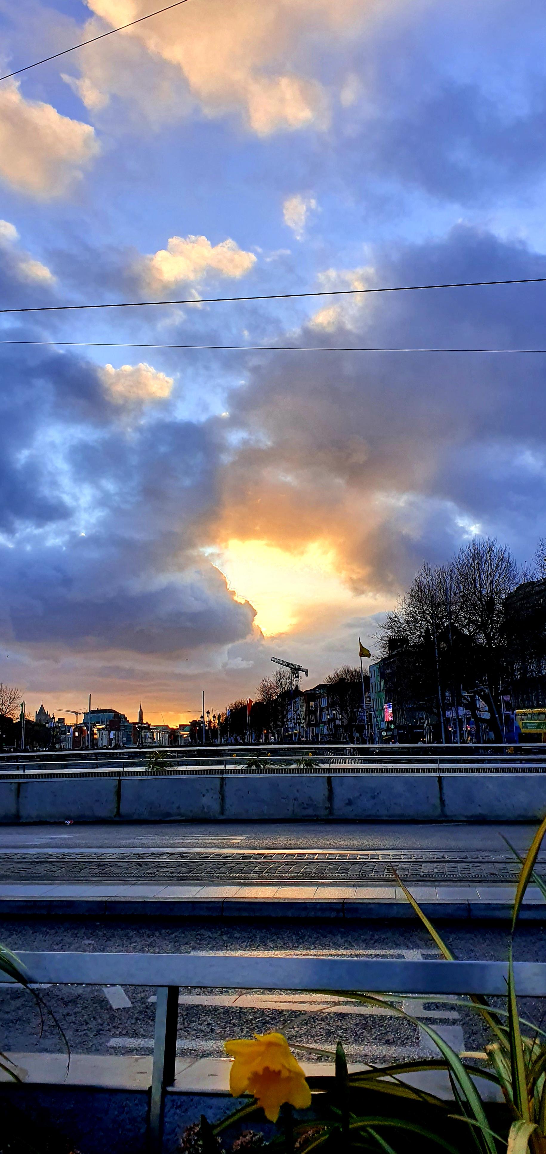 In the heart of Dublin | Scrolller