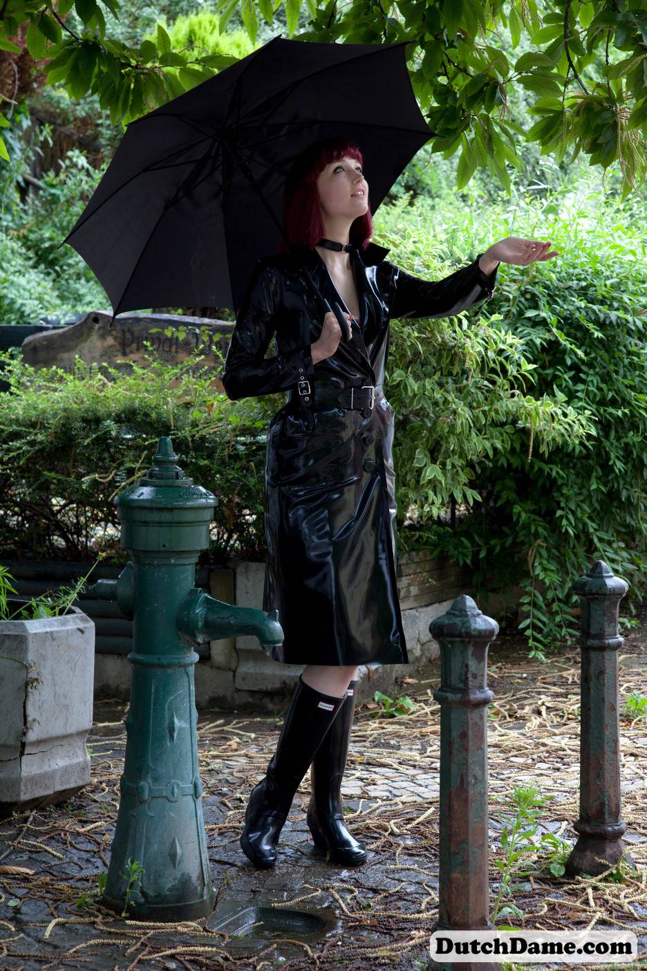 In the rain | Scrolller