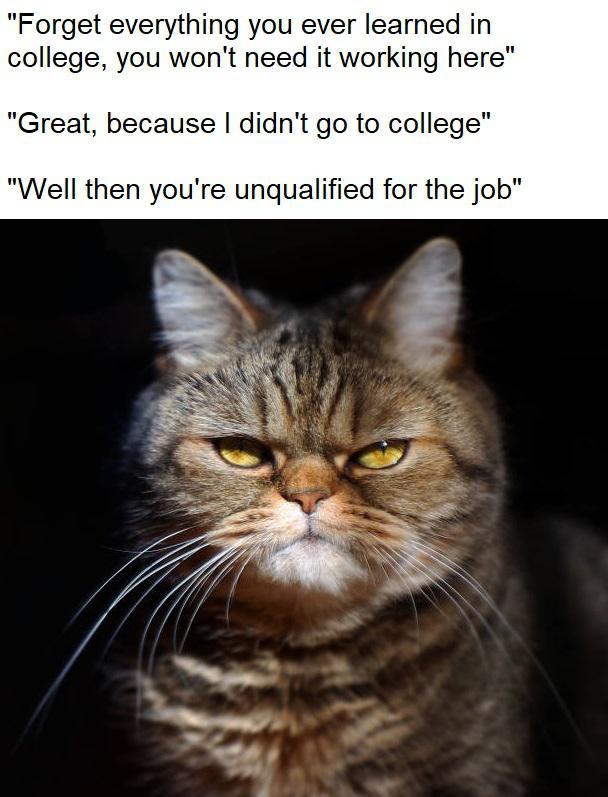 In these difficult times | Scrolller