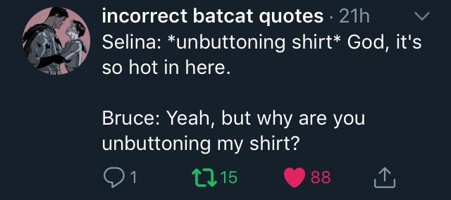 Incorrect BatCat quote. But I could see this happening. | Scrolller