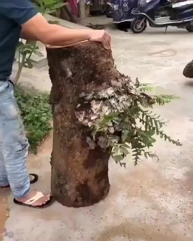 This incredible wood carving | Scrolller