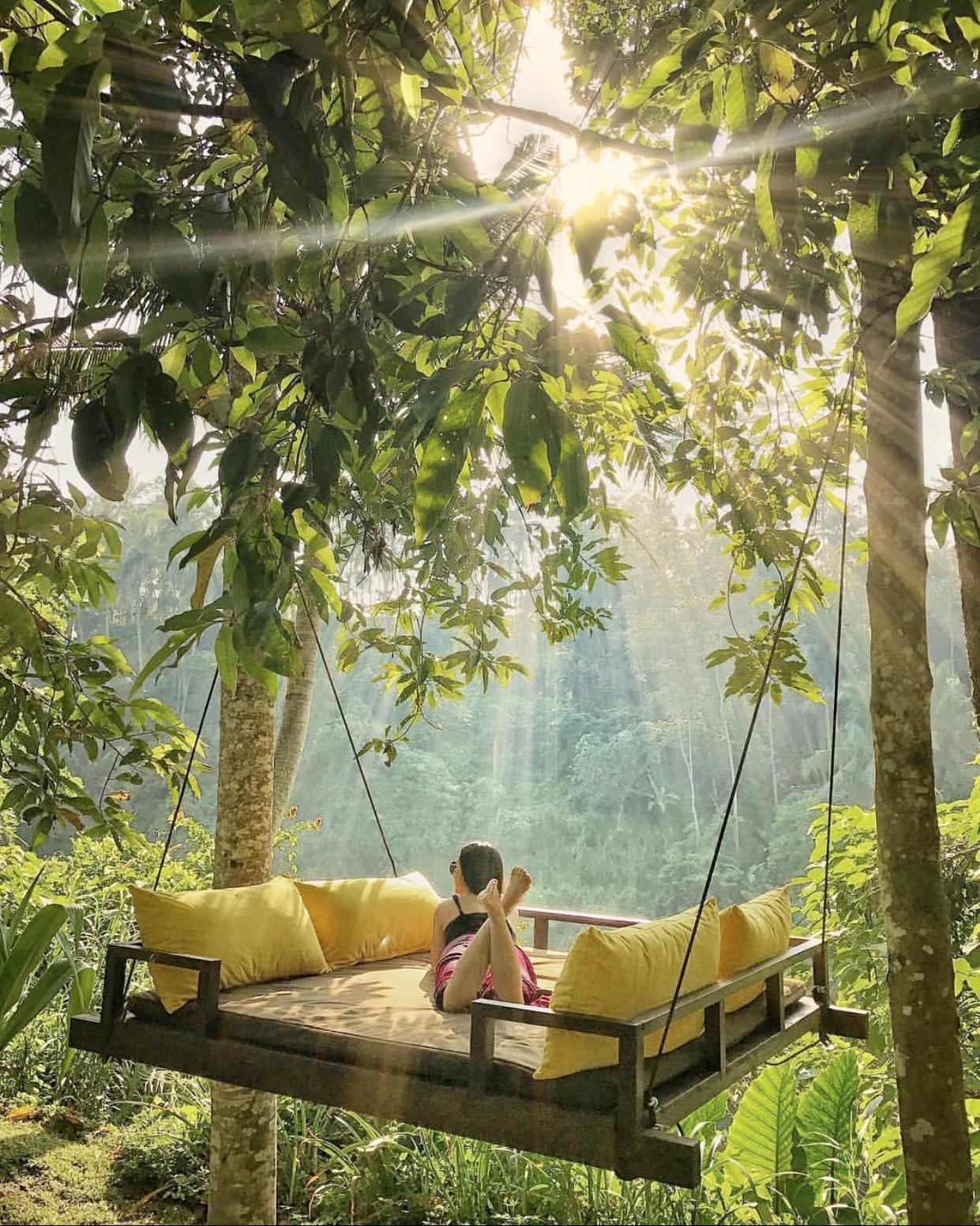 INFP Oasis | Scrolller