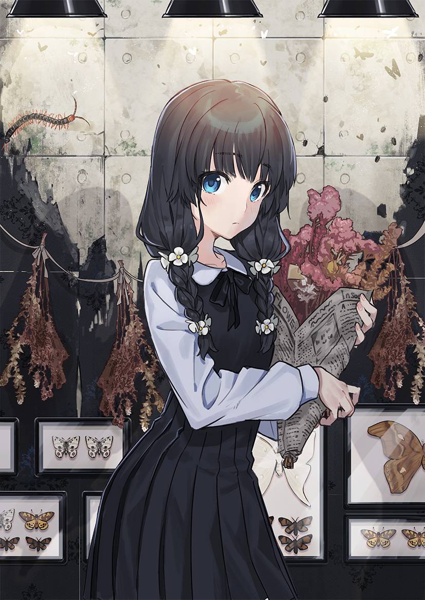 Insect specimens [Original] | Scrolller