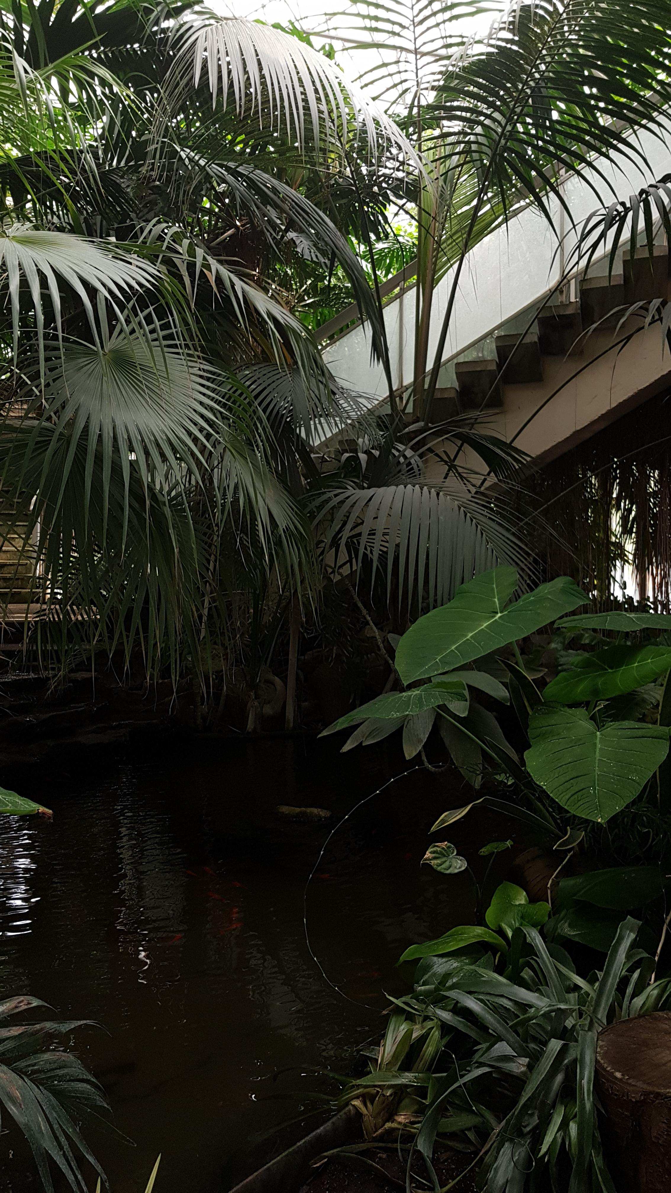 Inside of Jean-Pierre Secq brutalist greenhouse [OC] | Scrolller