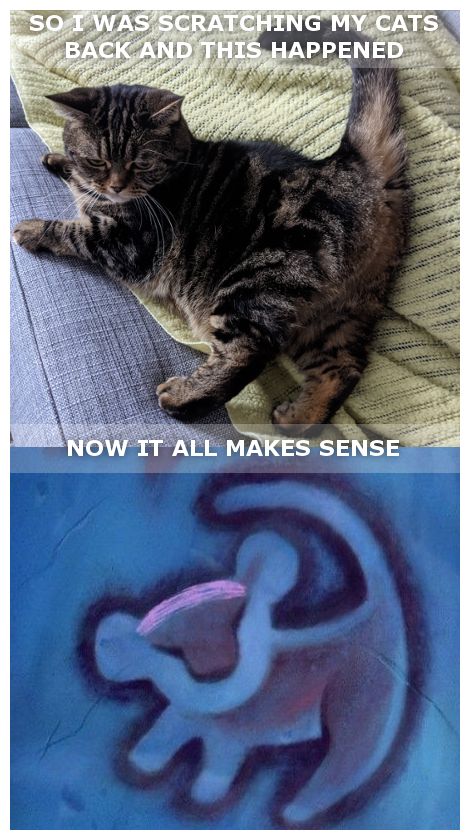 Inspiration behind Rafiki's drawing of Simba | Scrolller