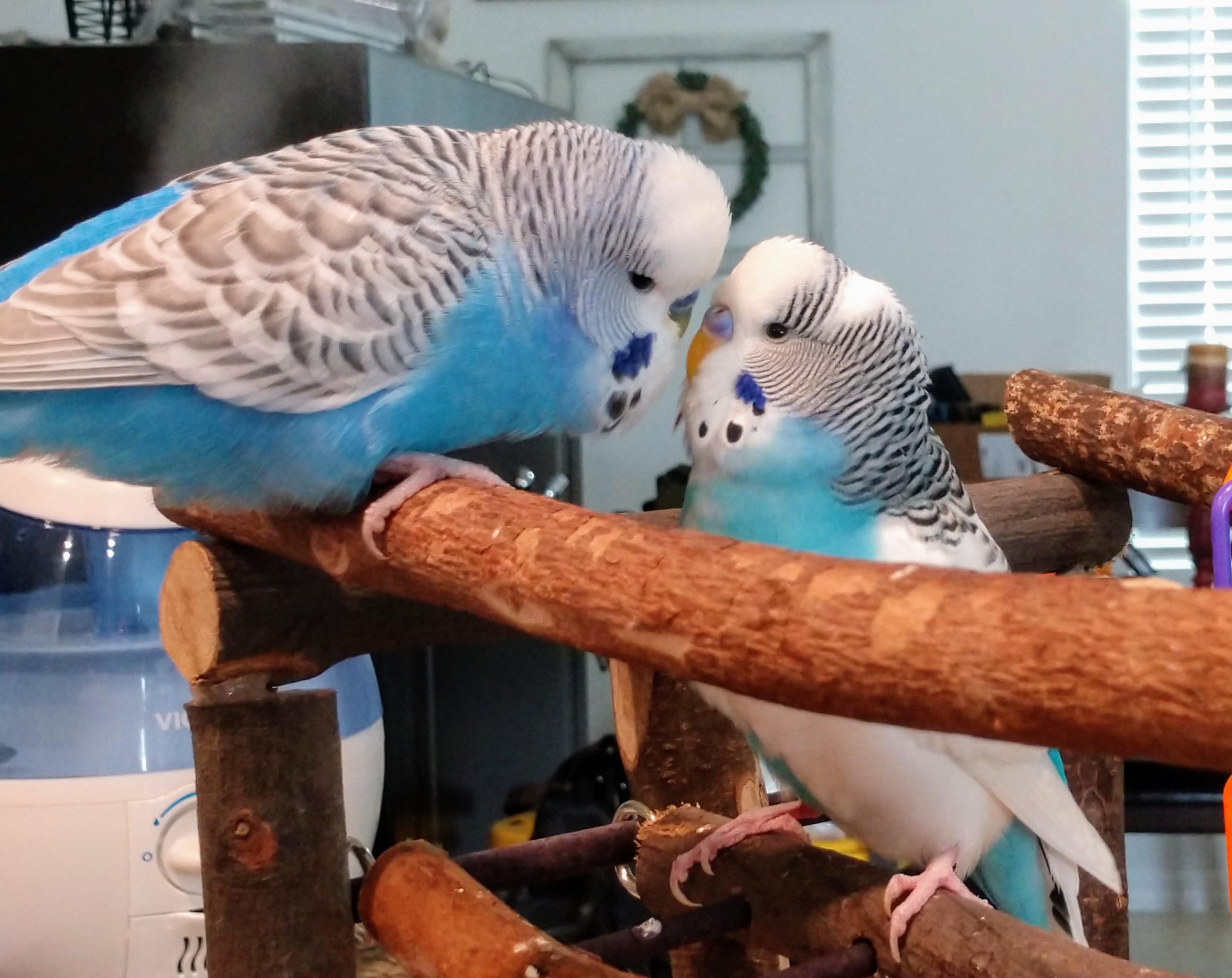 *intense* | Scrolller