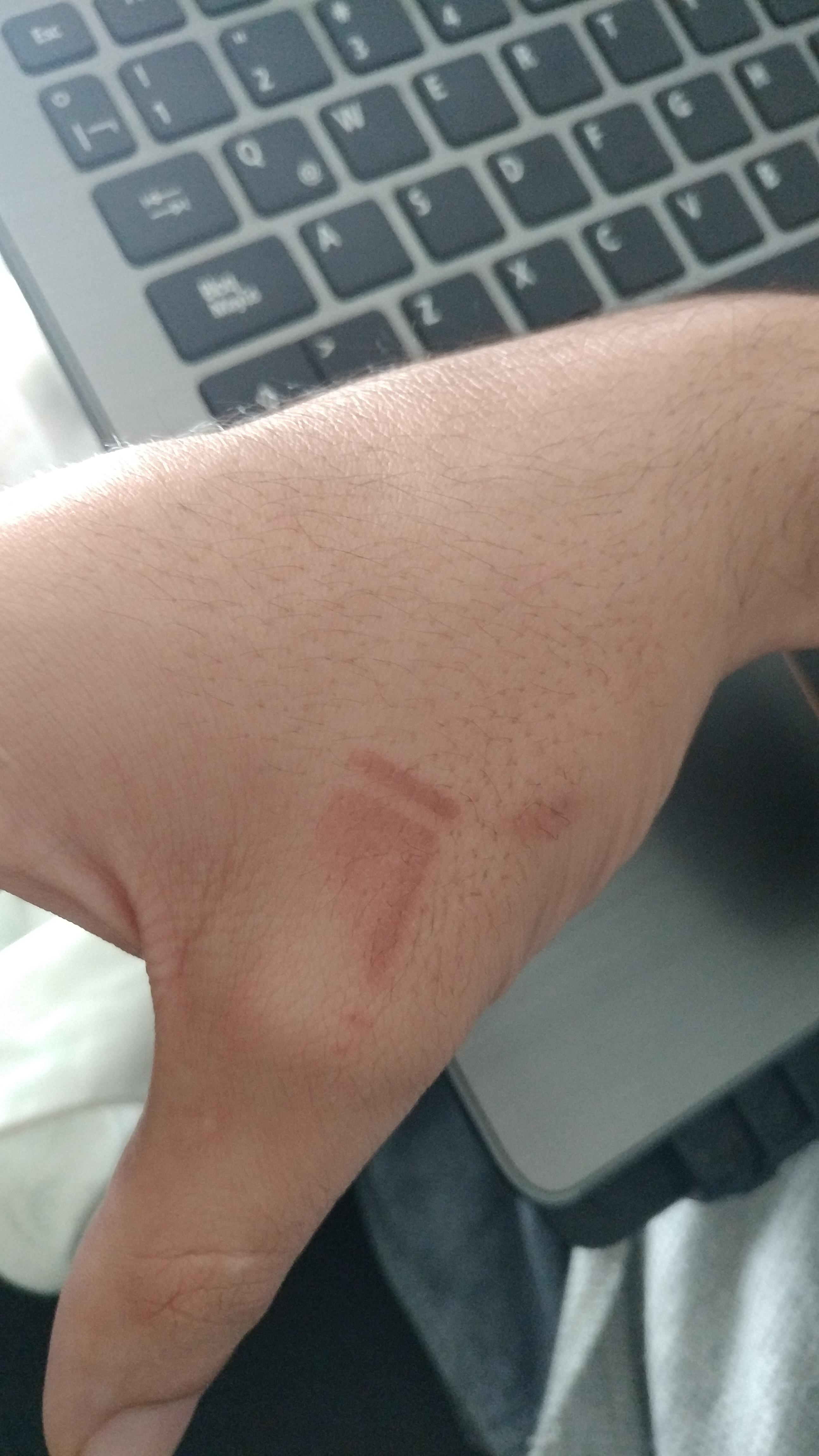 Interesting shape! | Scrolller