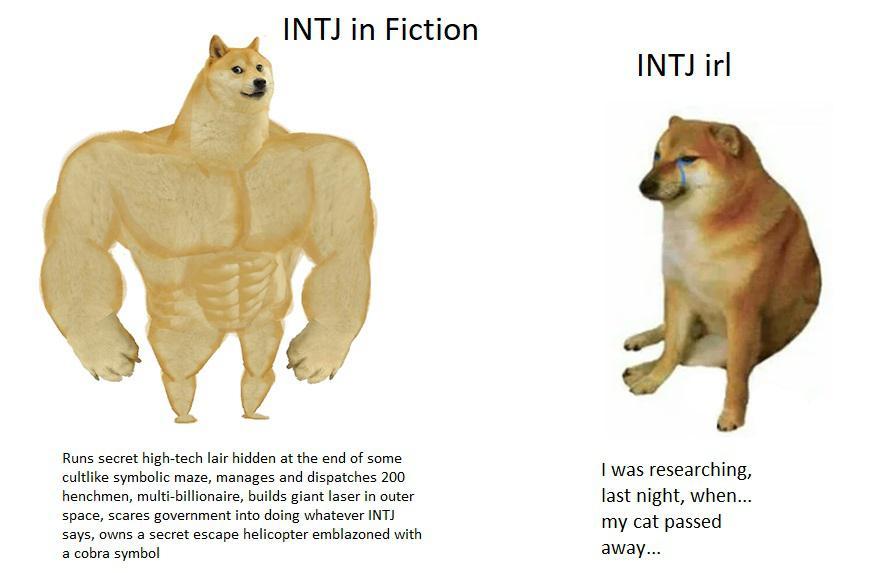 INTJ in Movies vs. IRL | Scrolller