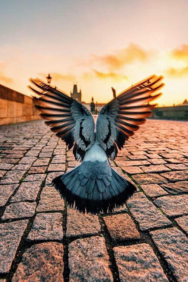 Into the sunrise. | Scrolller