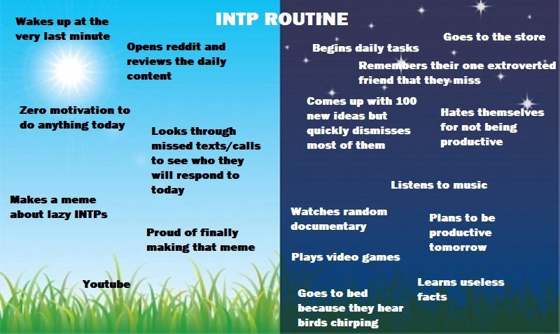 INTP's endless cycle | Scrolller