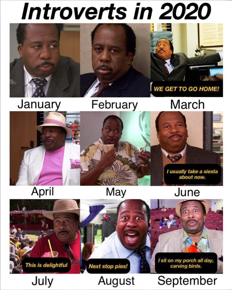 introverts in 2020 | Scrolller