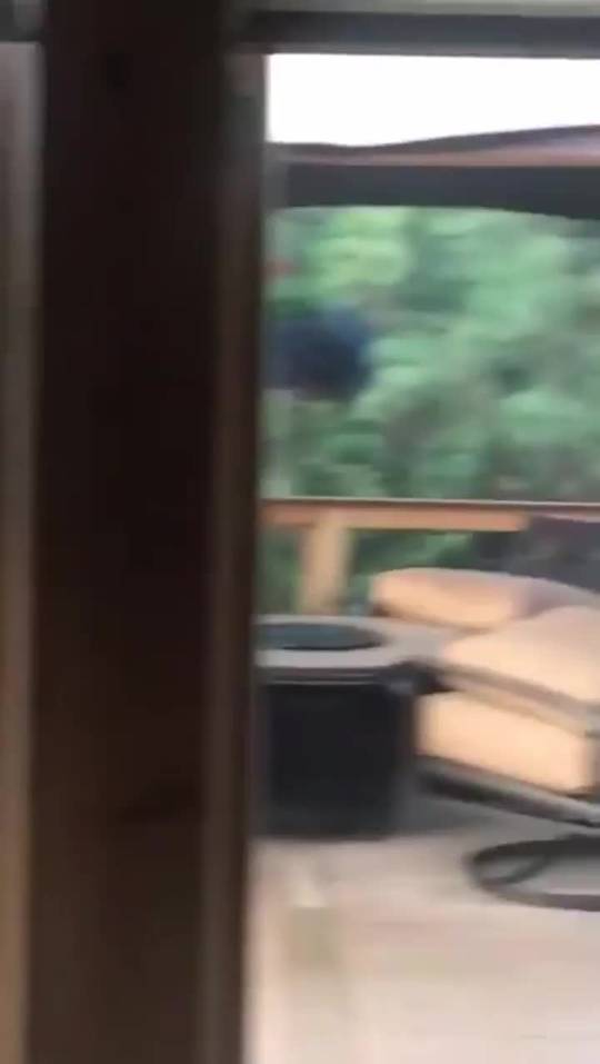 Inviting the neighbors to hang out on the patio | Scrolller