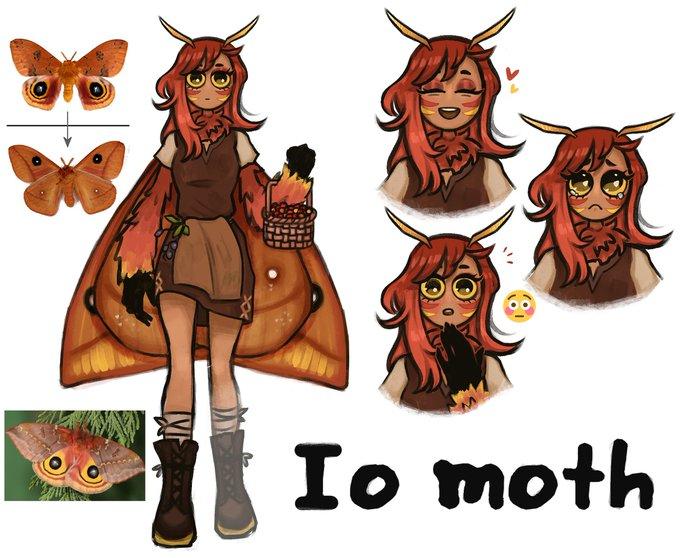 Io Moth | Scrolller