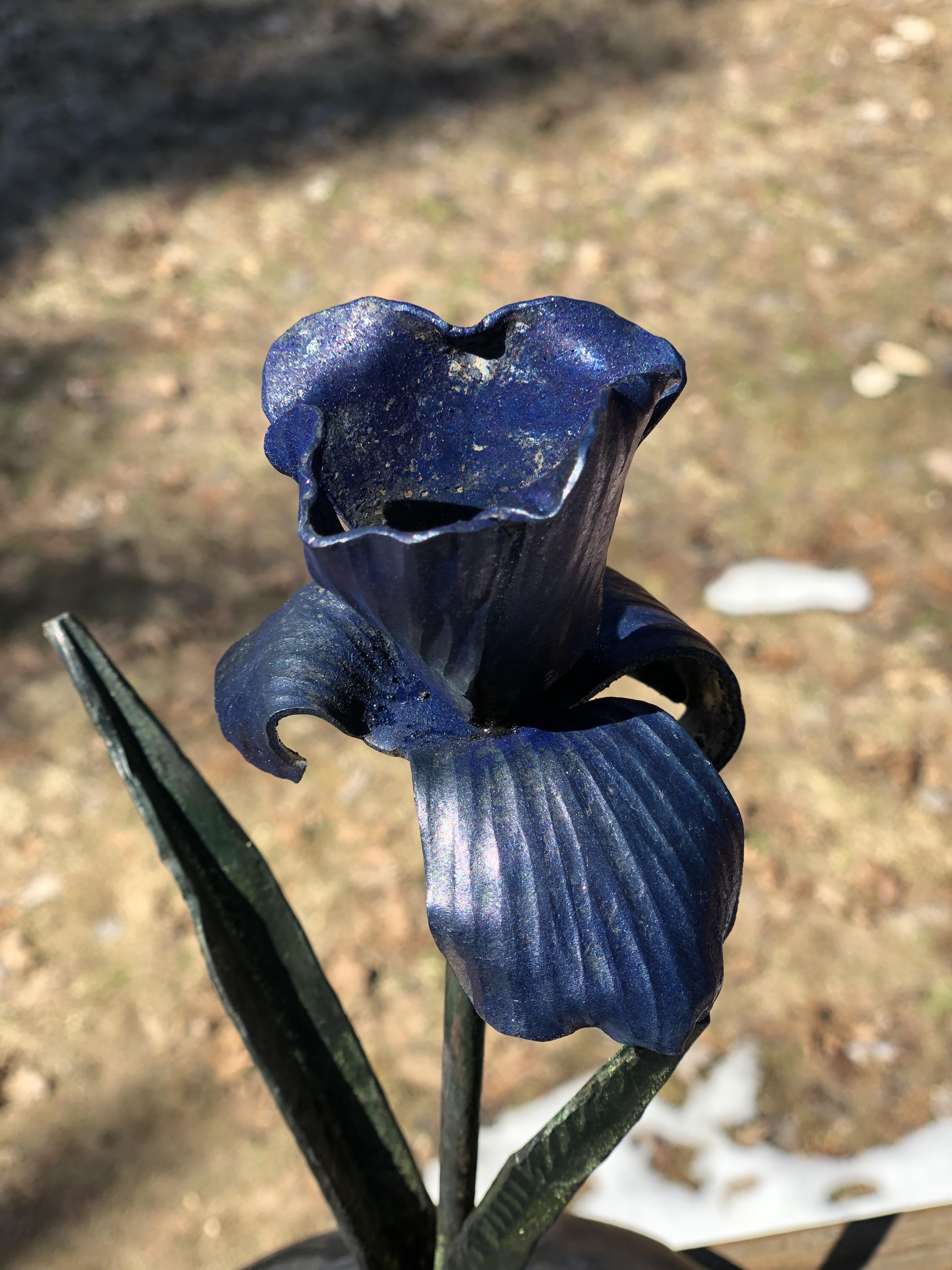 Iris that I forged! | Scrolller