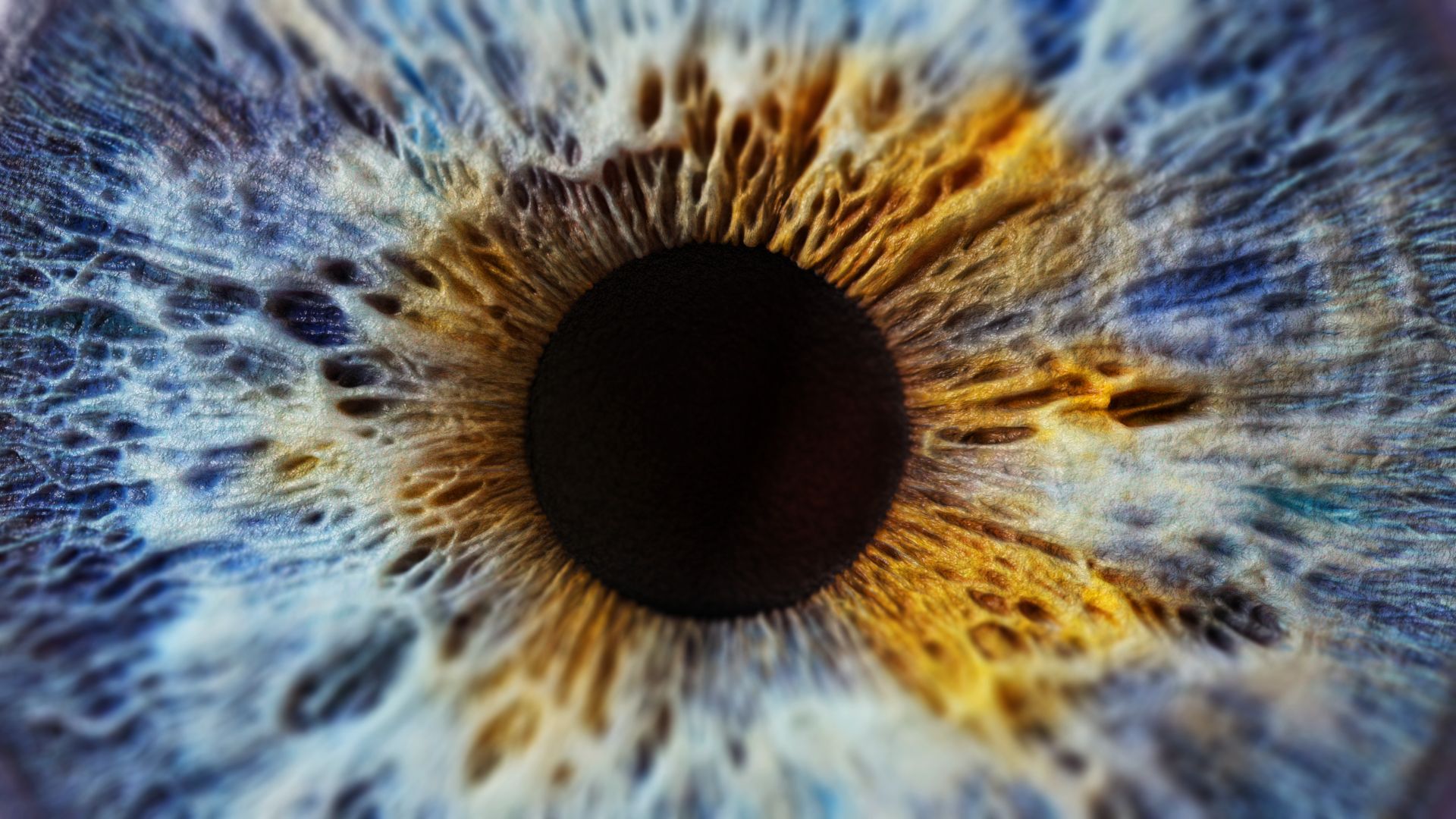 Iris, sculpted in ZBrush and rendered with Maya/Arnold. | Scrolller